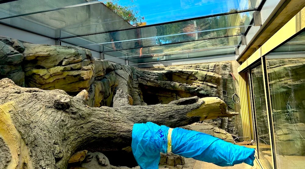 Glazed zoo enclosure, Prague Czech Republic | Walk on glass floors ...